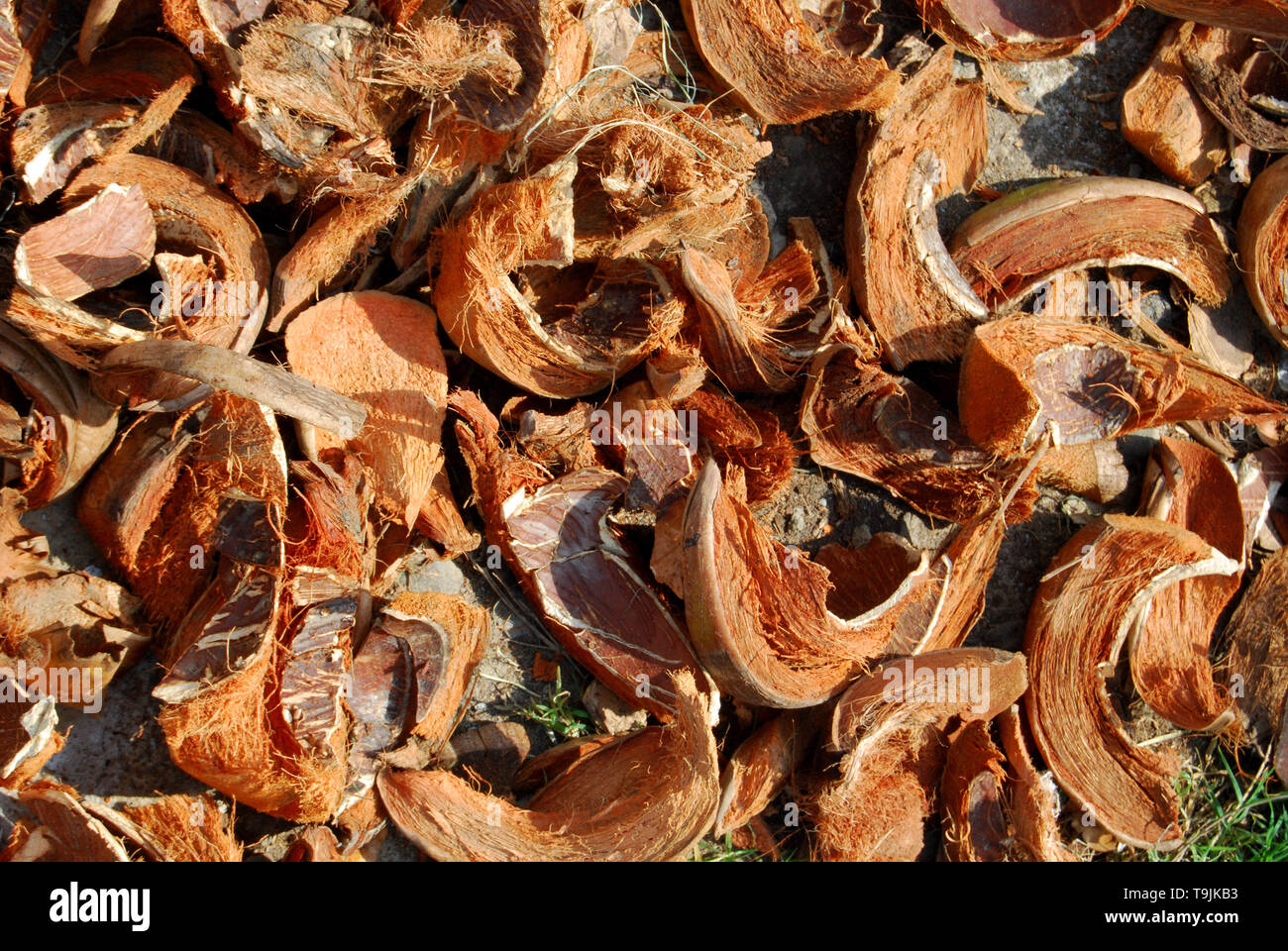 coconut fiber pieces background Stock Photo - Alamy