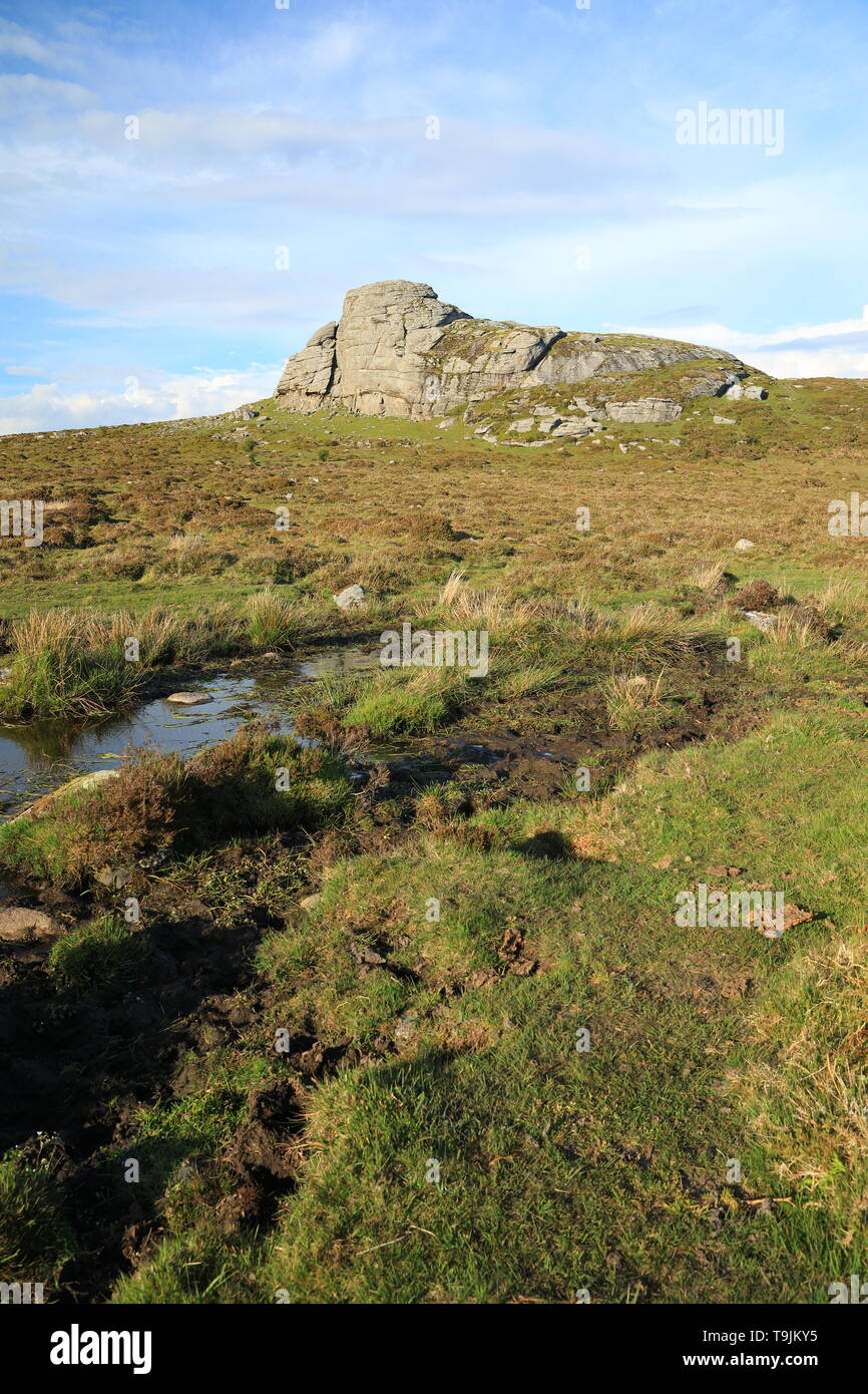 Haytor, Dartmoor National Park, Devon, England, UK Stock Photo - Alamy