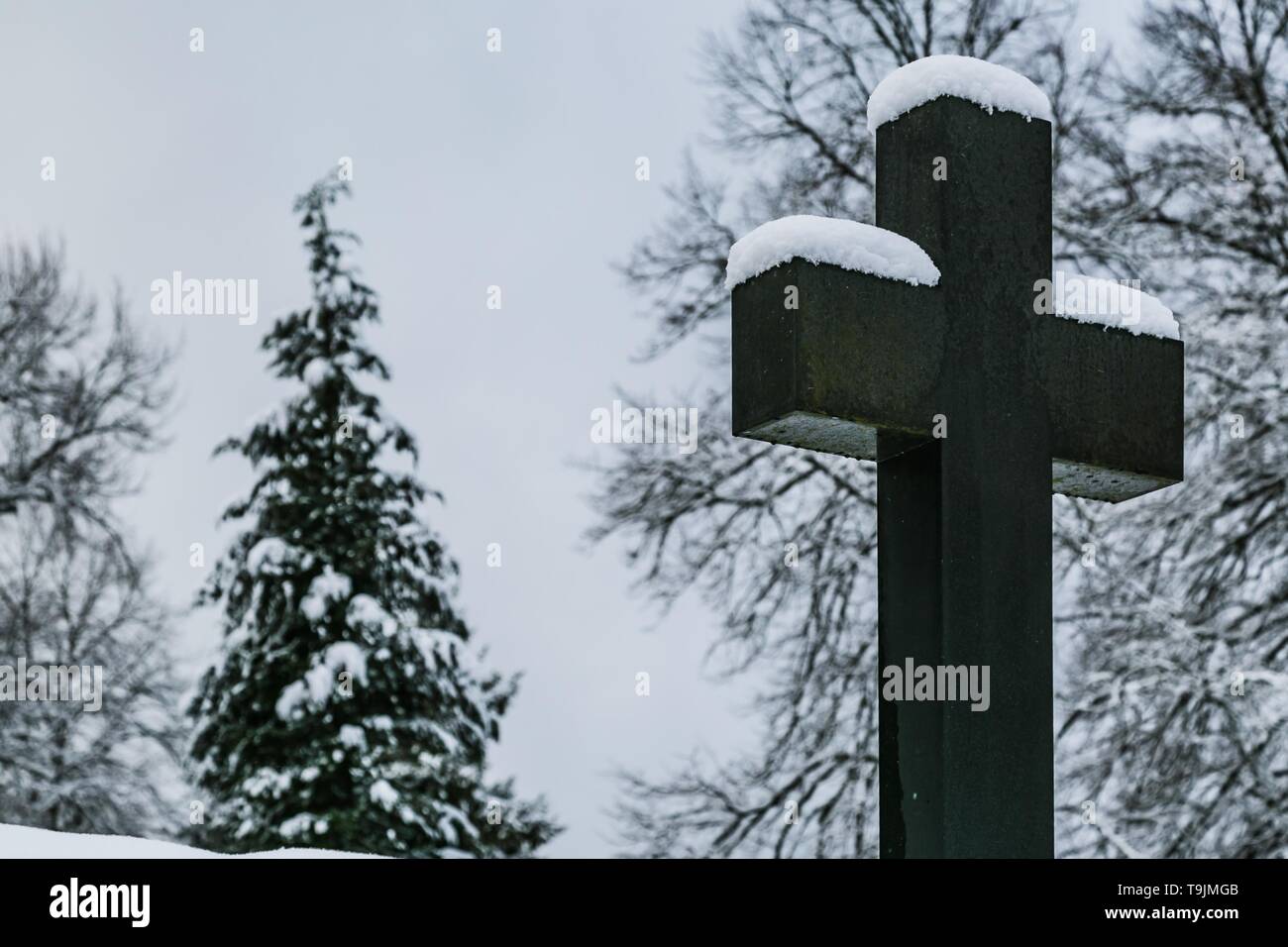 Winter scene of Christian stony cross at a cemetery and trees in the ...