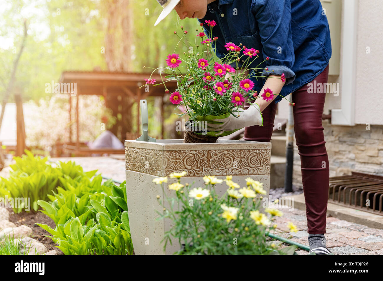 Woman planting flowers hi-res stock photography and images - Alamy