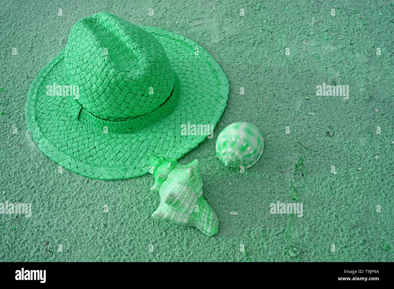 One straw hat with two types of beautiful seashells on the sand beach ...