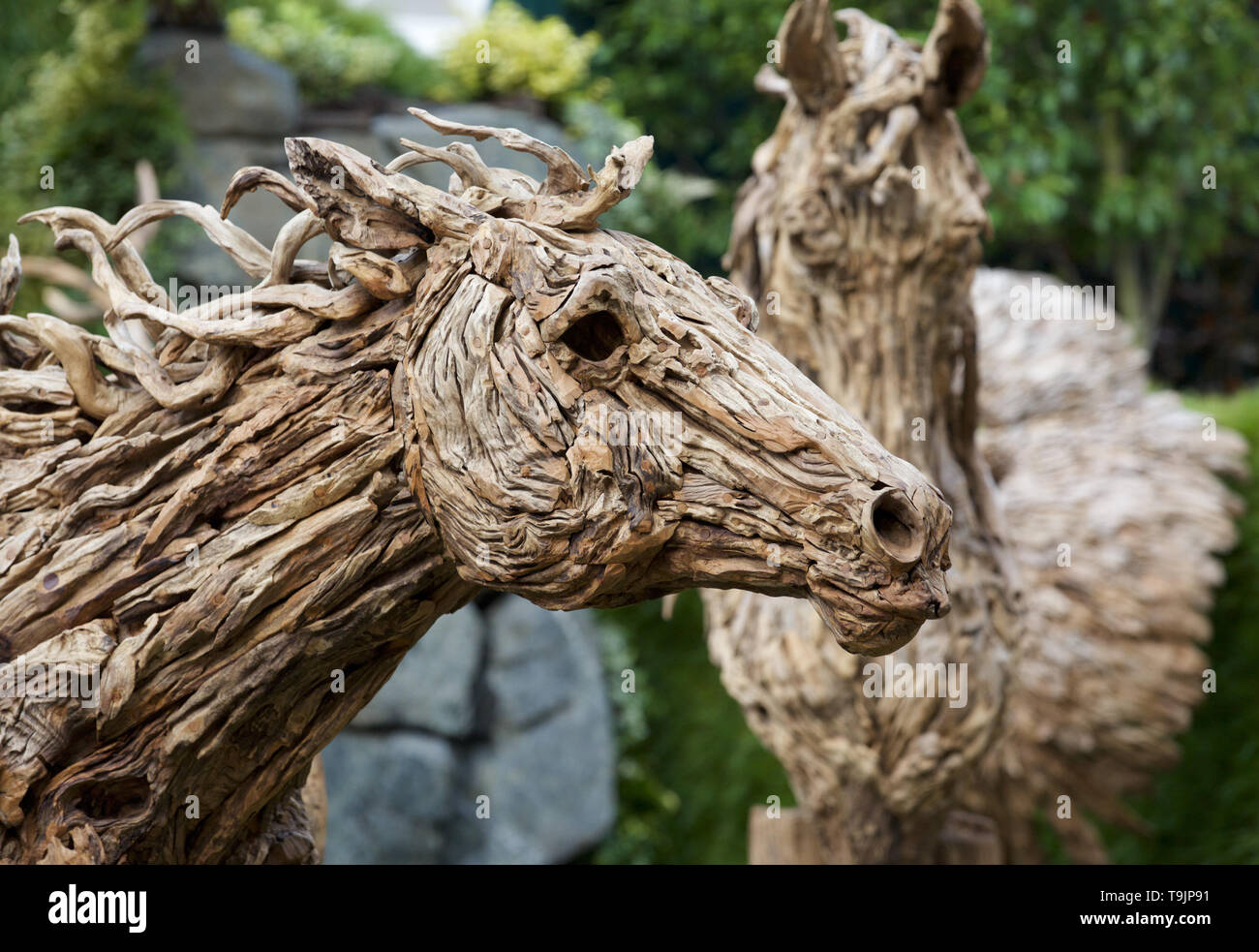 RHS Chelsea Flower Show,Press Day,world renowned,rhs,RHS,flower show ...