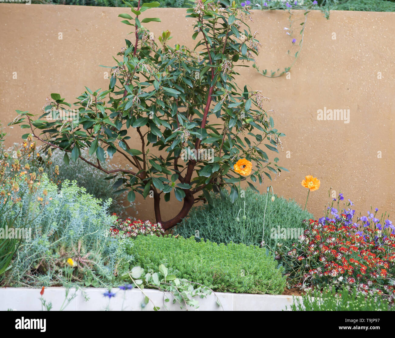 RHS Chelsea Flower Show,Press Day,world renowned,rhs,RHS,flower show ...