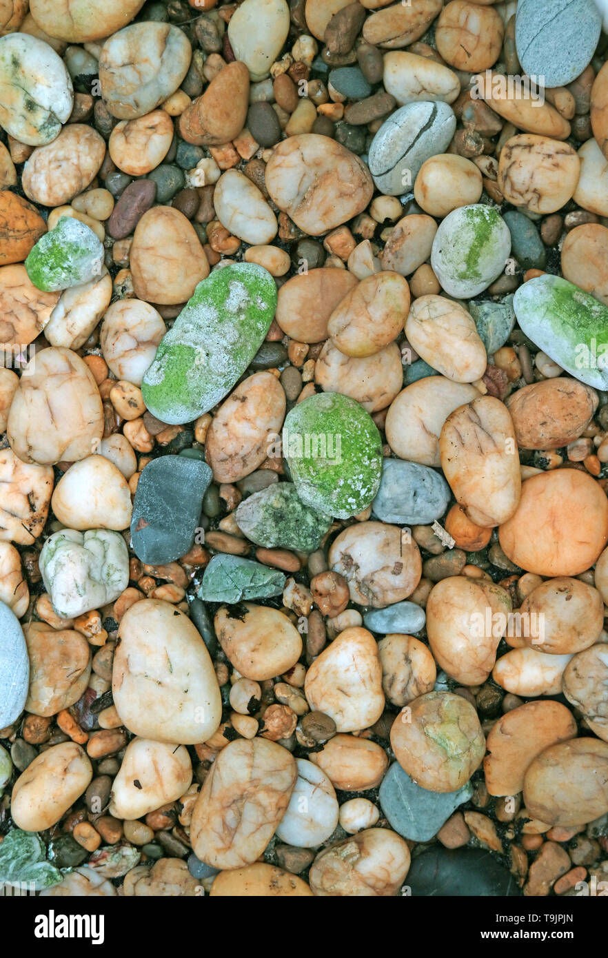 Pebble Stone Path Walkway High Resolution Stock Photography and Images ...