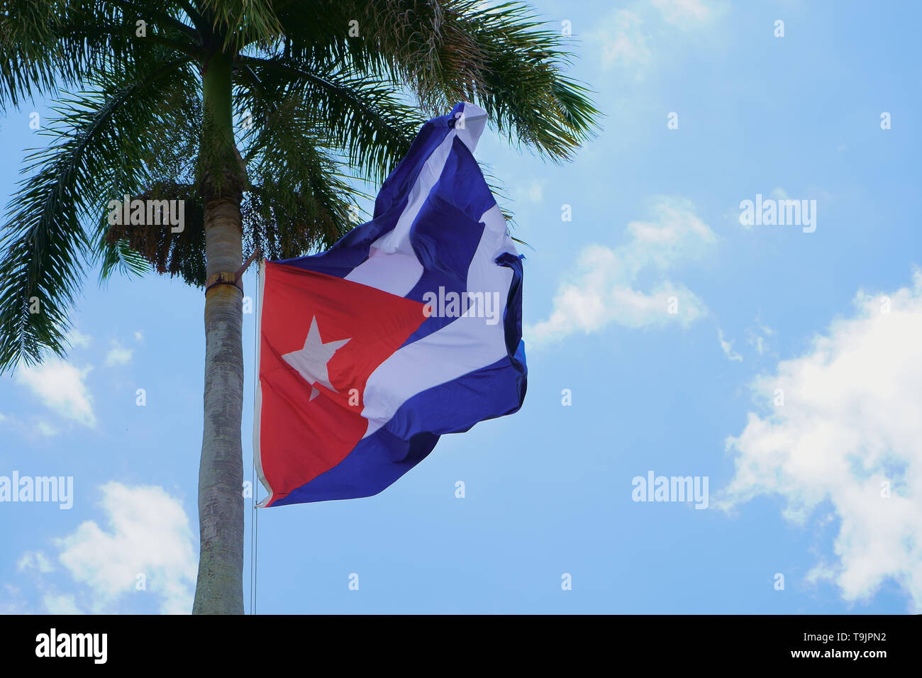 Caribbean waving national flag hi-res stock photography and images - Alamy