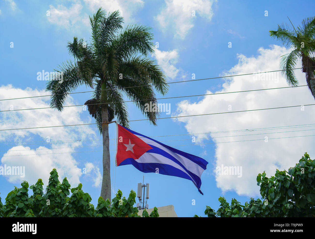 Caribbean waving national flag hi-res stock photography and images - Alamy