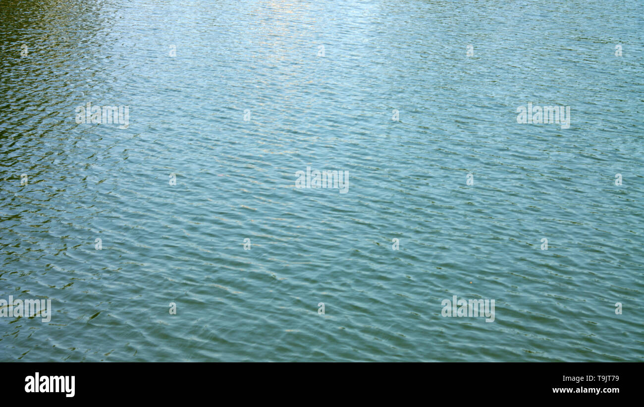 ripple on water in city park pond Stock Photo - Alamy