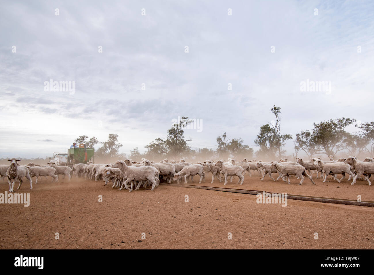 May2019 Burren Junction, Australia: Grey clouds but no rain in sight as ...