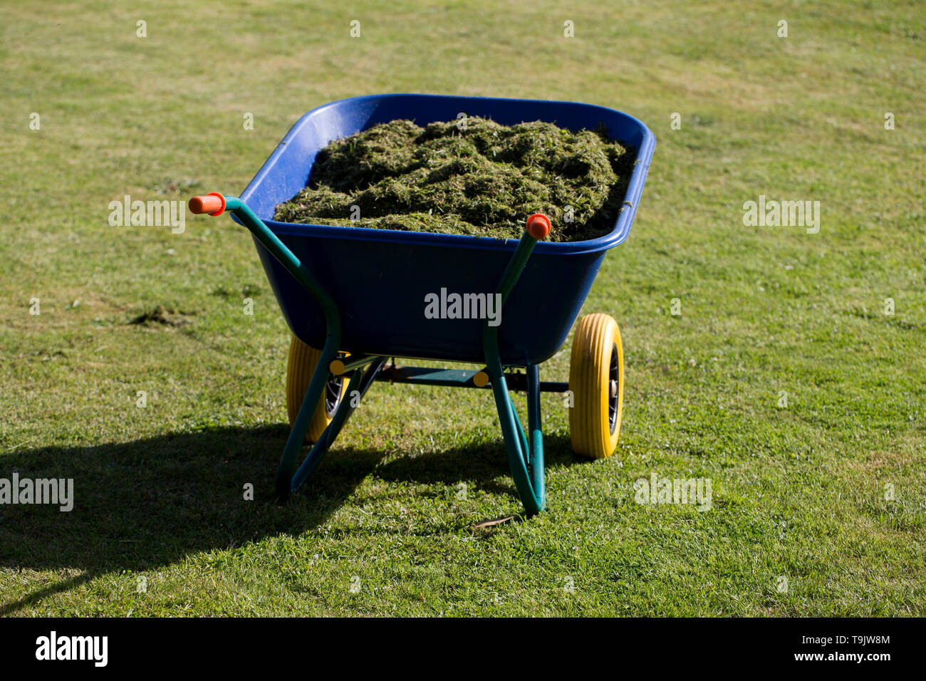 Wheelbarrow in the garden Stock Photo - Alamy