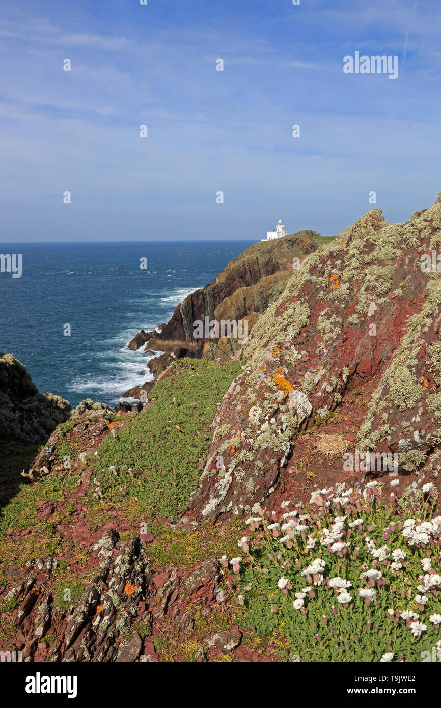 View of Skokholm Lighthouse from the South Path Stock Photo - Alamy