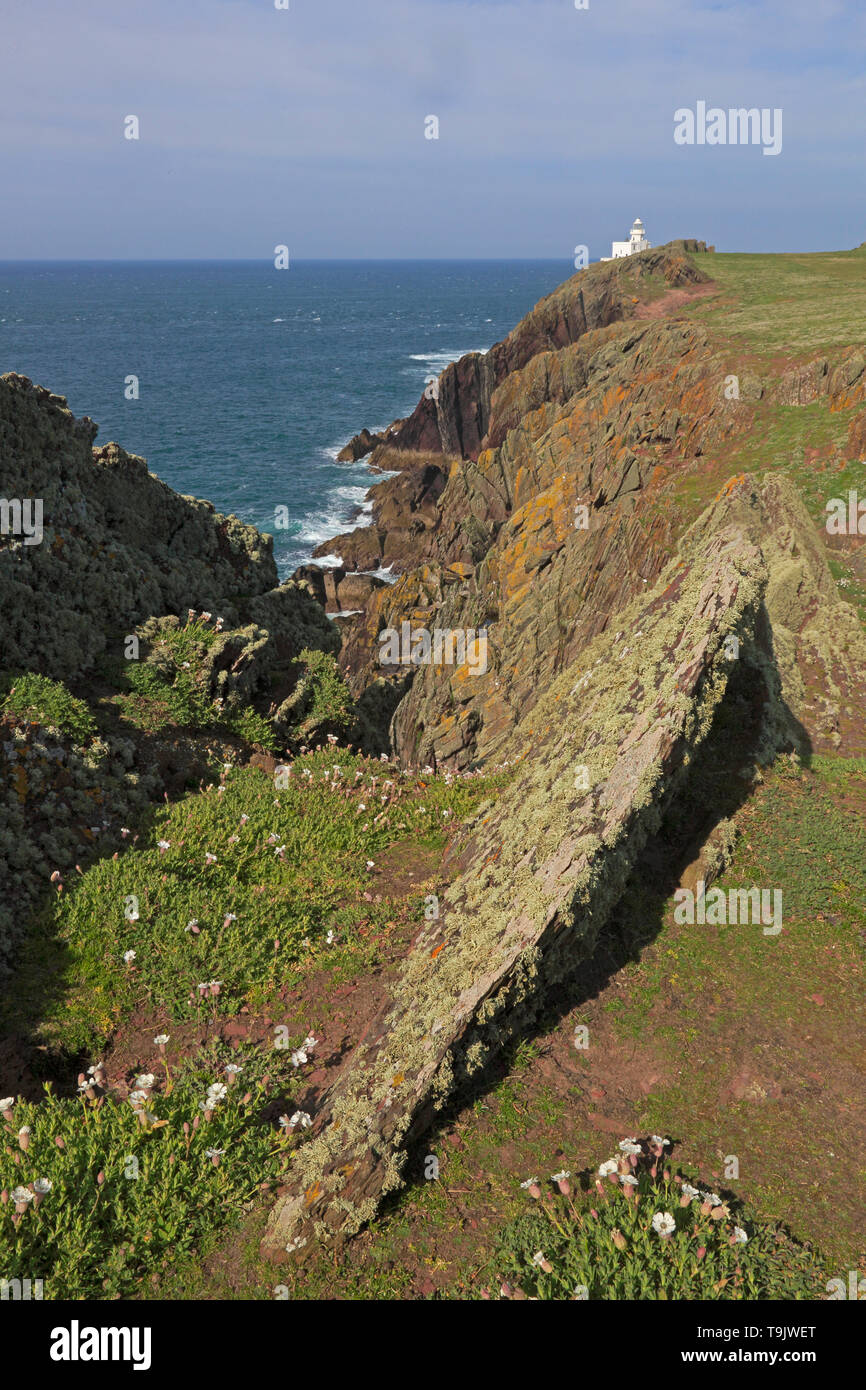View of Skokholm Lighthouse from the South Path Stock Photo - Alamy