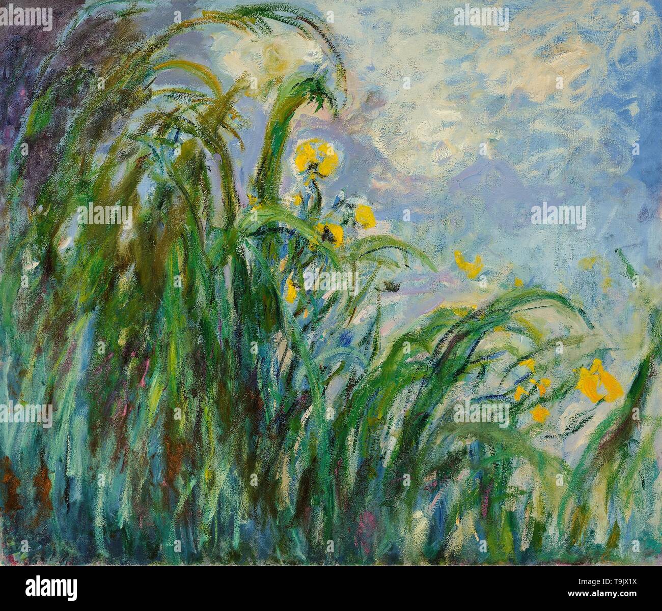 Yellow irises. Museum: Musée Marmottan Monet, Paris. Author: CLAUDE ...