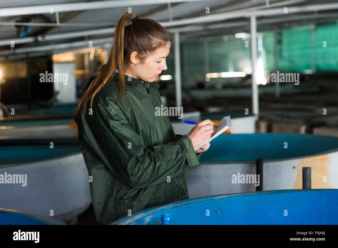 Female fish farm worker checking trout growth in fish breeding ...