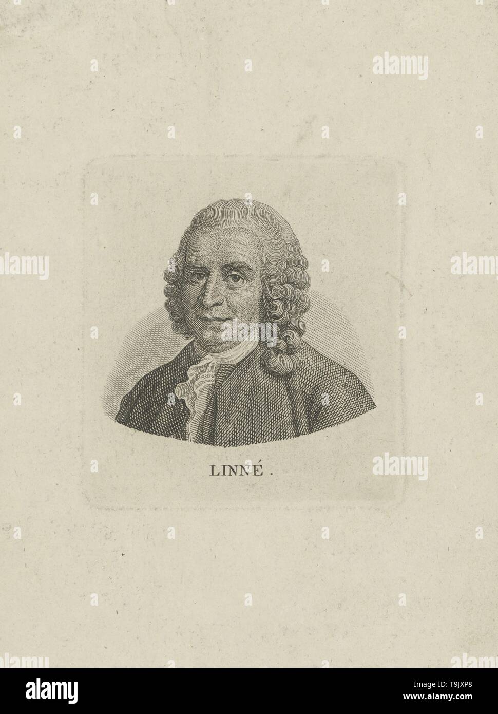 Portrait of Carl Linnaeus (1707-1778). Museum: PRIVATE COLLECTION ...