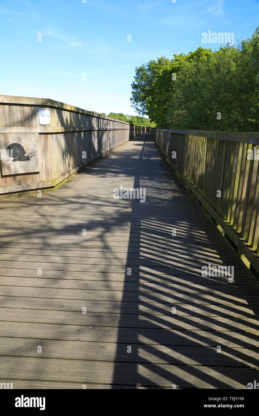 Exe estuary cycle path hi-res stock photography and images - Alamy
