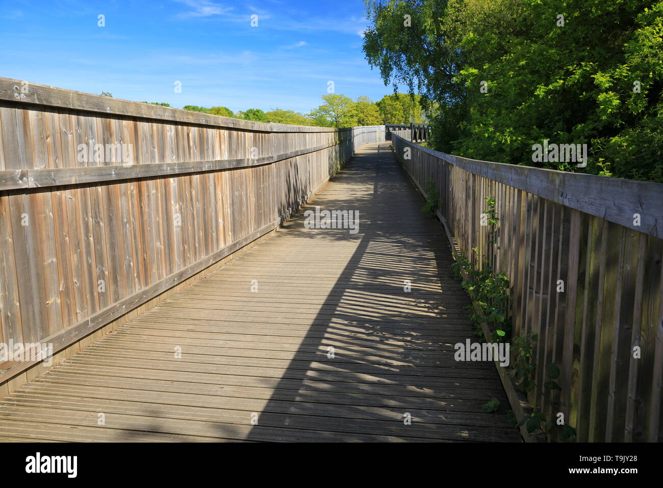 Exe estuary trail, Topsham, Devon, England, UK Stock Photo - Alamy