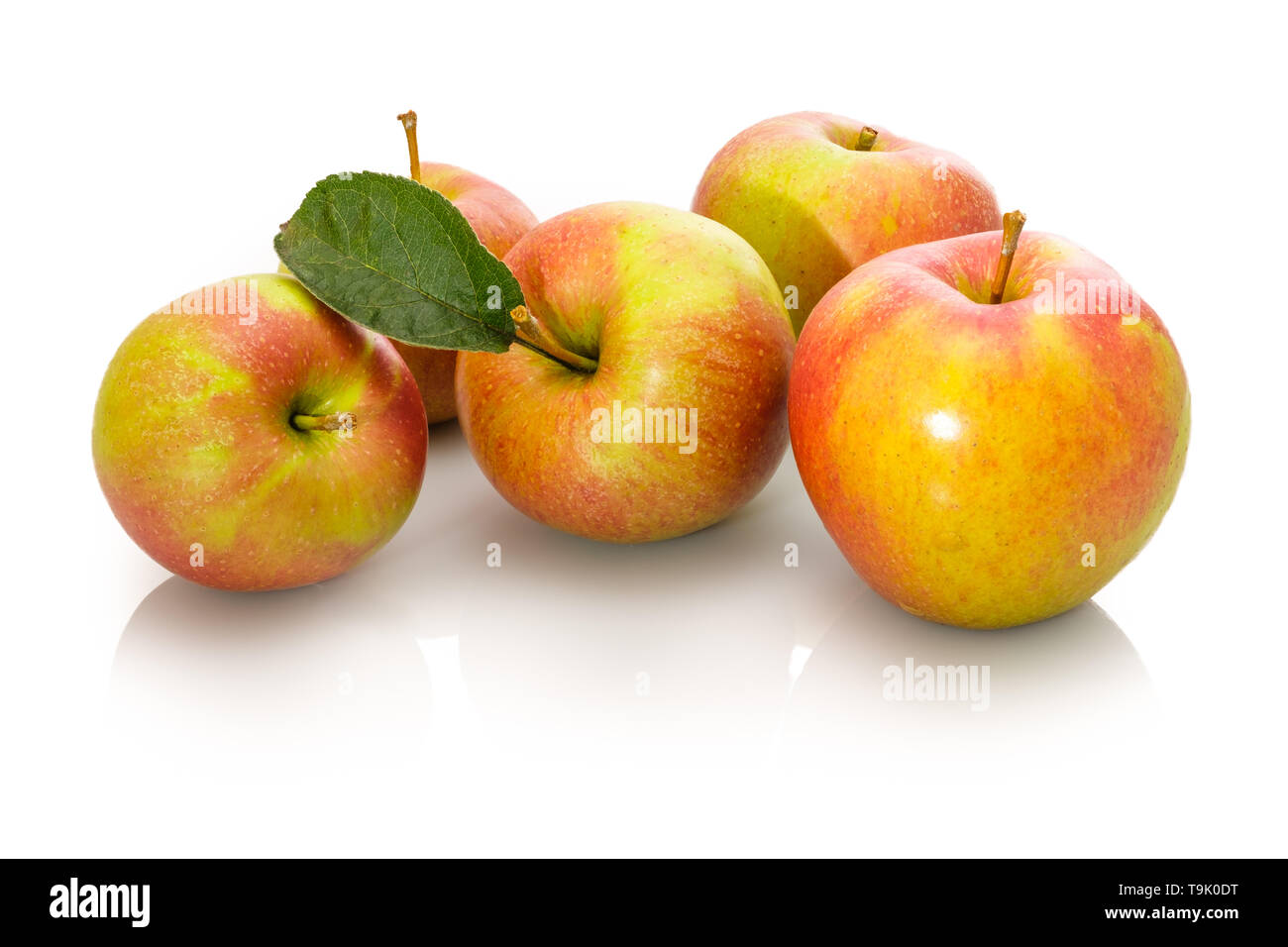 Wellant apple hi-res stock photography and images - Alamy