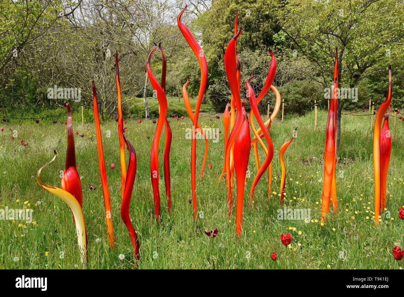 Cattails and Copper Birch Reeds, Chihuly glass artwork, Kew Gardens ...