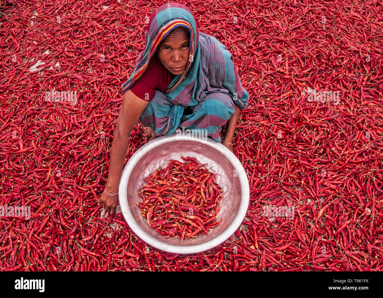 Bogura bangladesh hi-res stock photography and images - Alamy