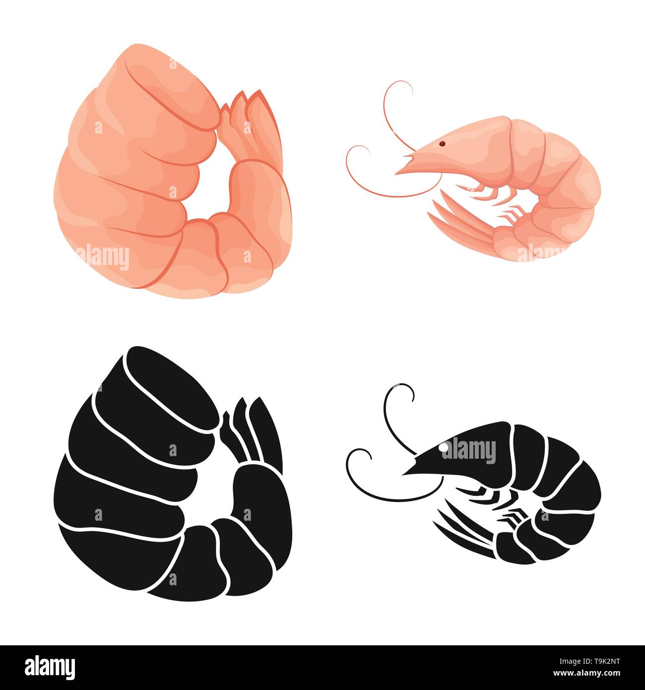 prawn,raw,cooked,fresh,luxury,underwater,atlantic,happy,aquatic ...