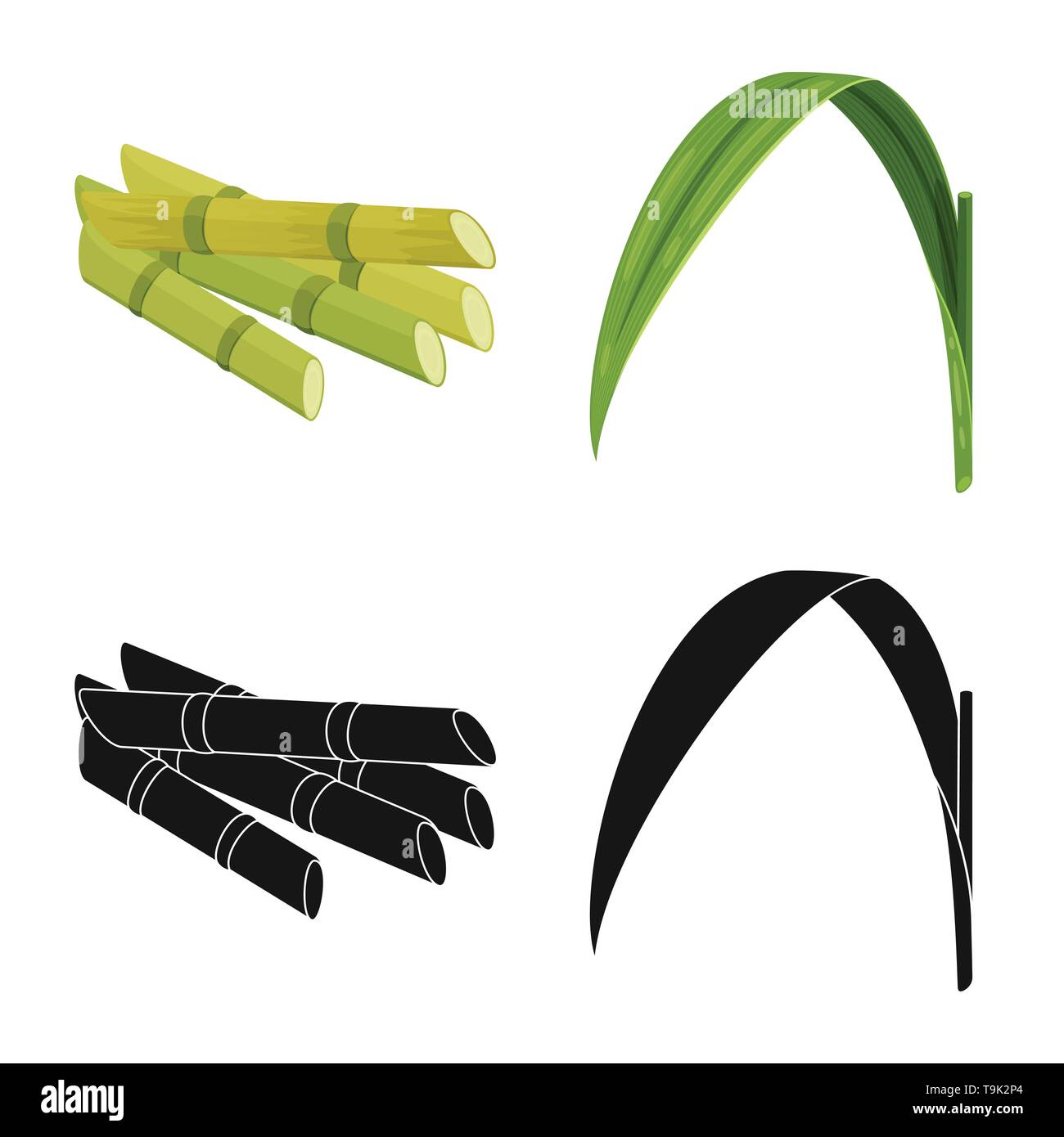 stick,leaf,juice,green,crop,raw,material,stock,bio,natural,harvest ...