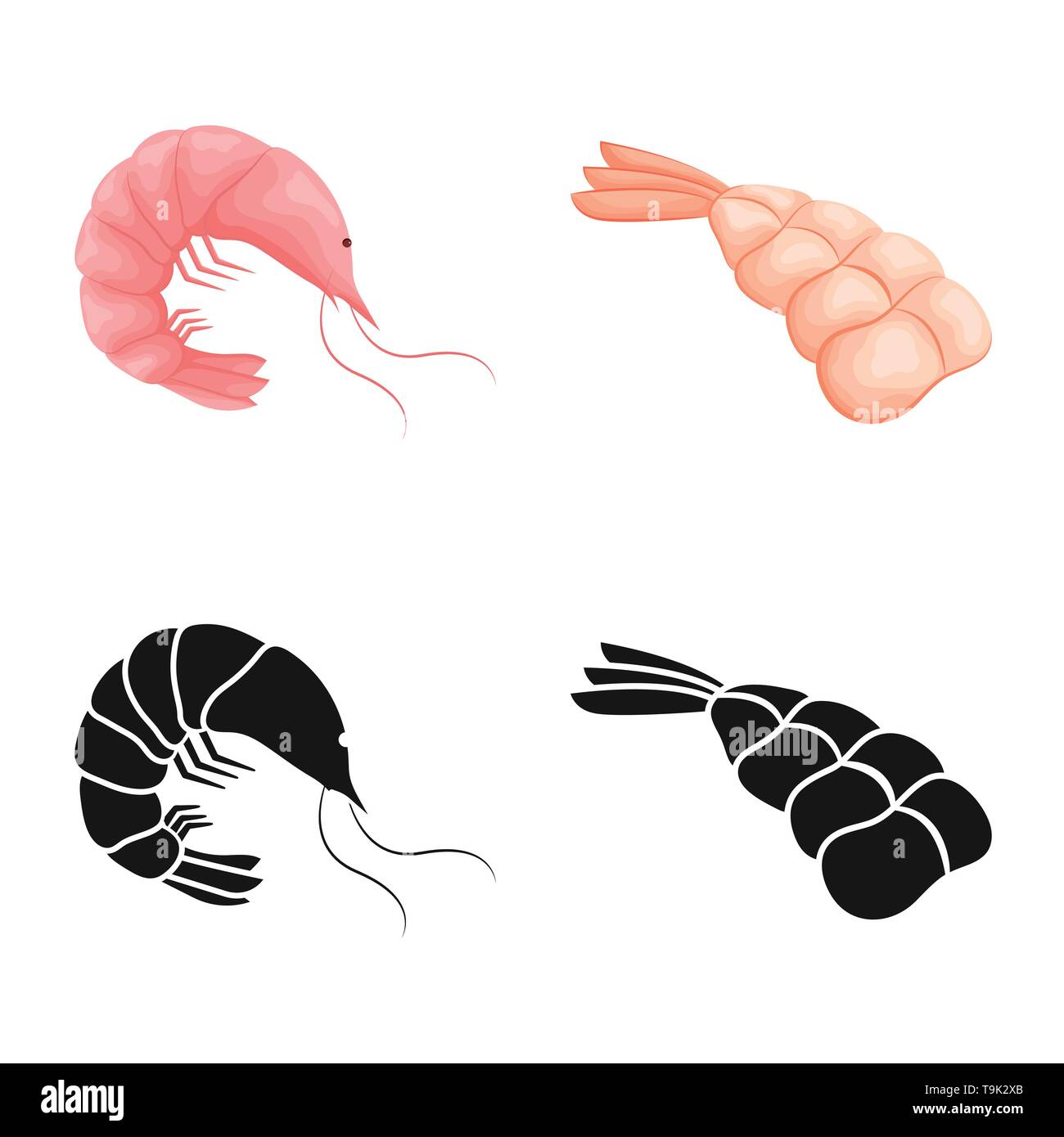prawn,creature,boiled,fresh,restaurant,raw,cooked,luxury,underwater ...