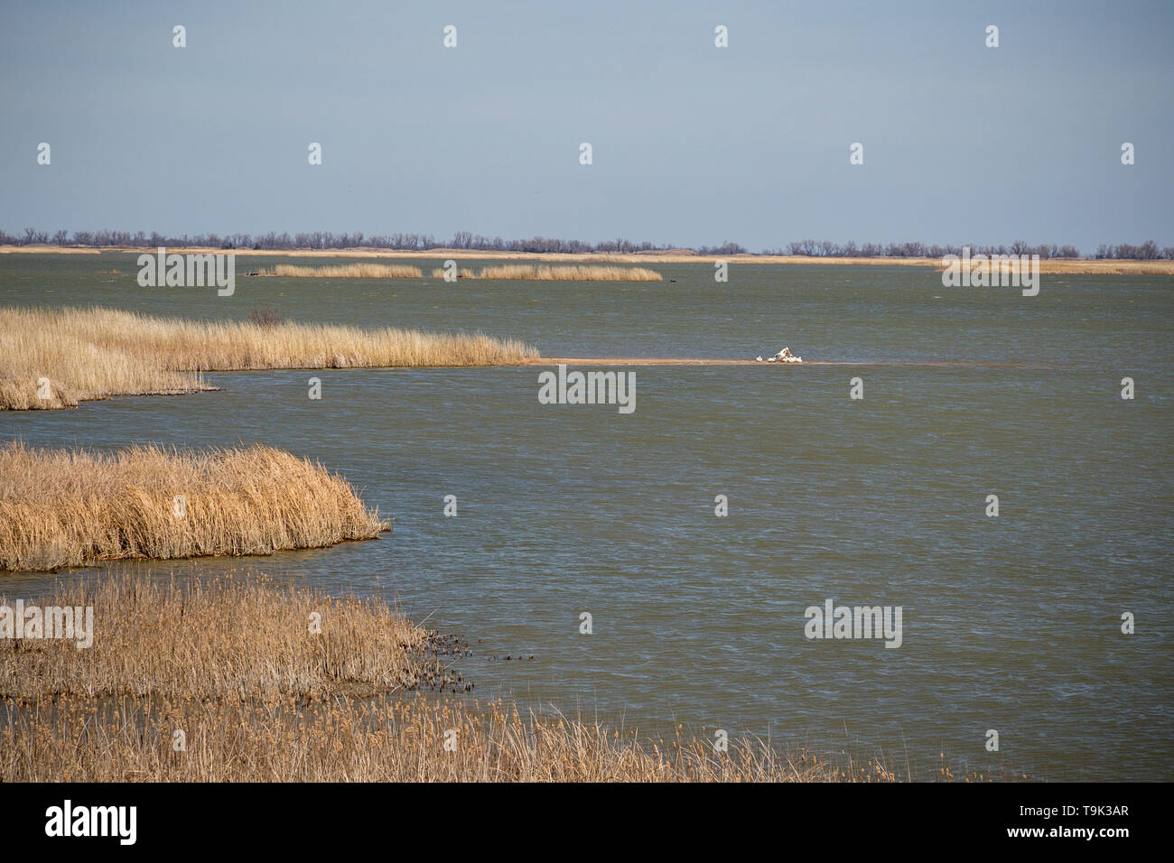 Polder wetlands hi-res stock photography and images - Alamy