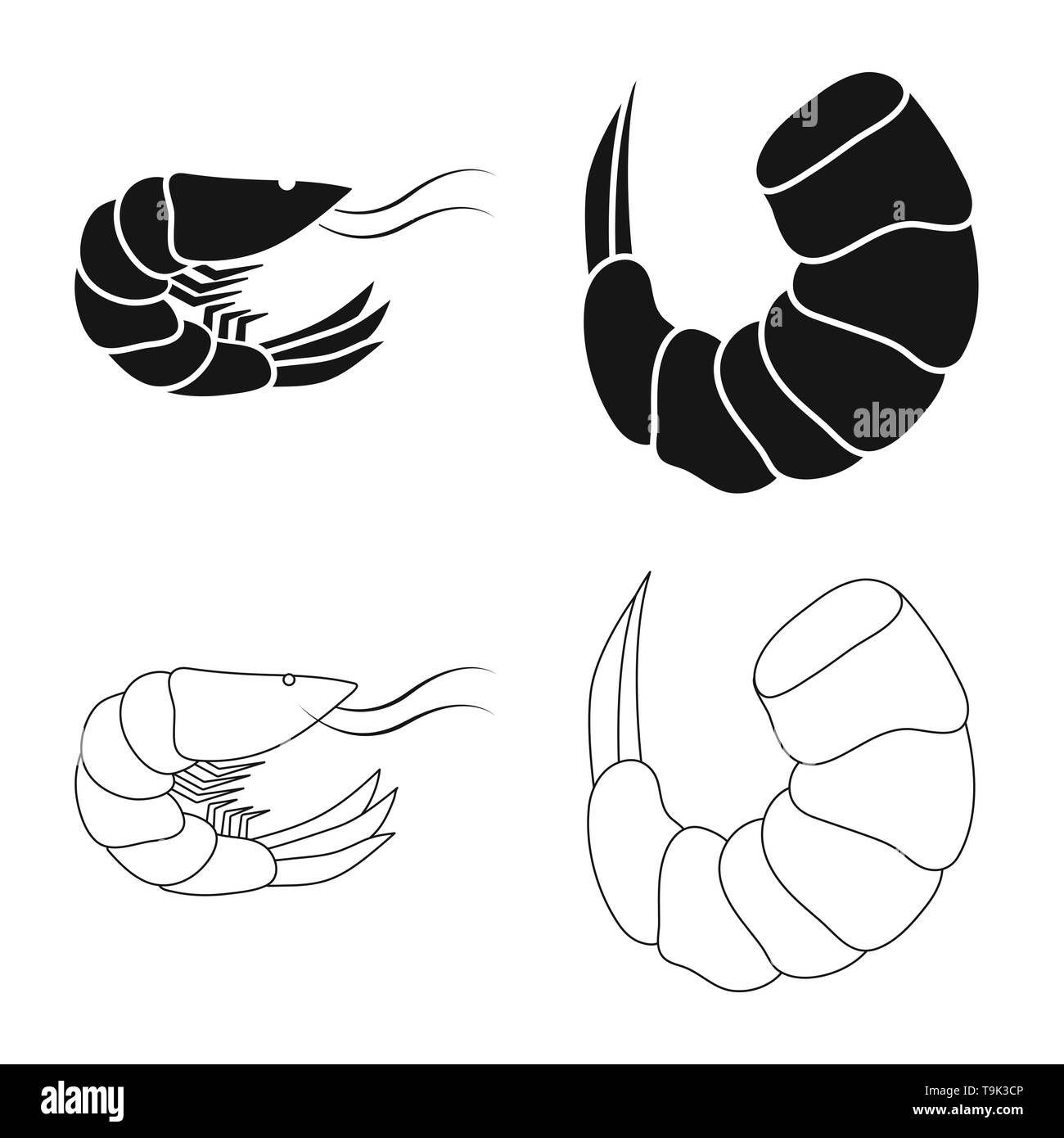 Prawn creature boiled fresh Black and White Stock Photos & Images - Alamy