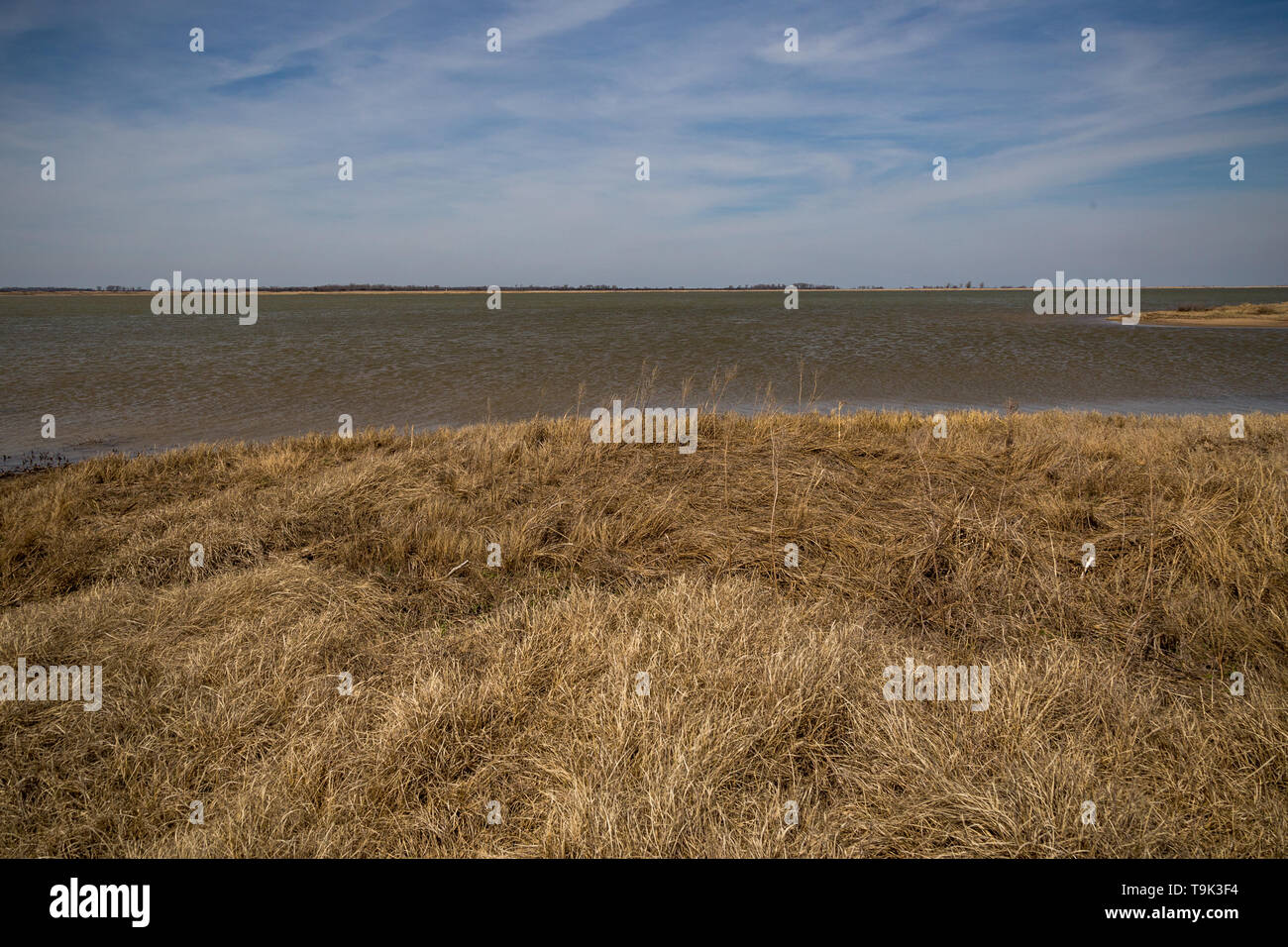 Savanna wetlands hi-res stock photography and images - Alamy