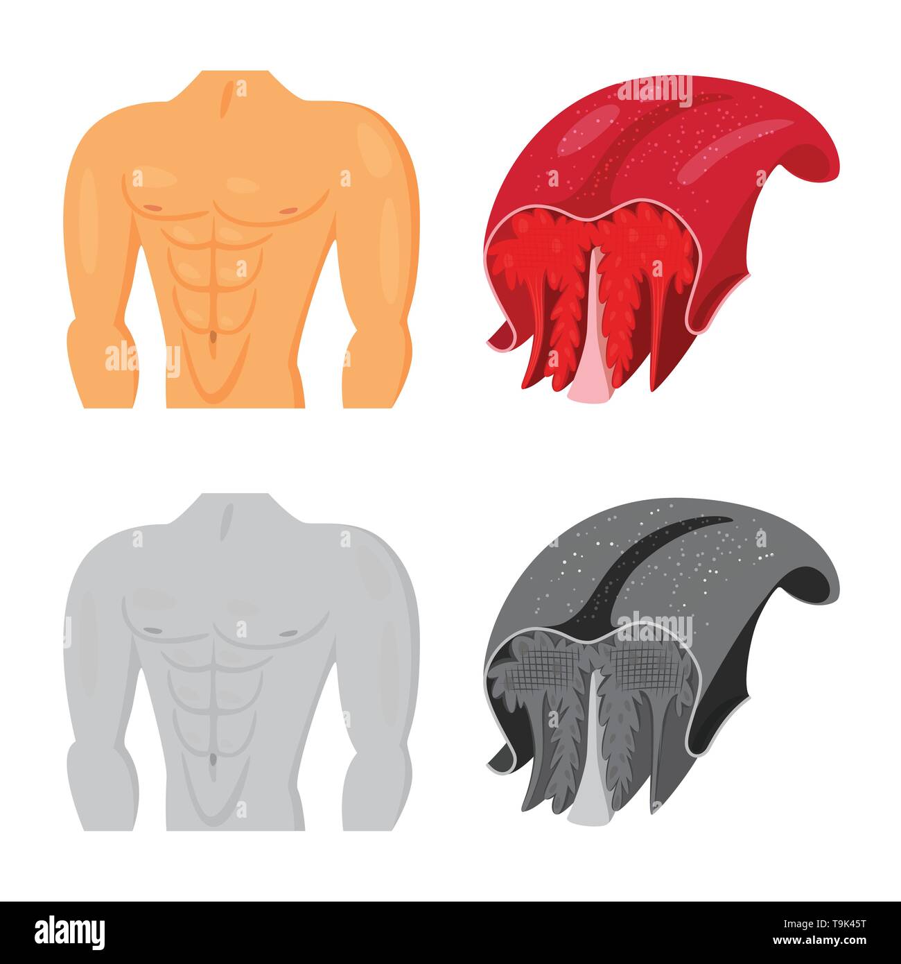 Vector design of fiber and muscular sign. Collection of fiber and body ...
