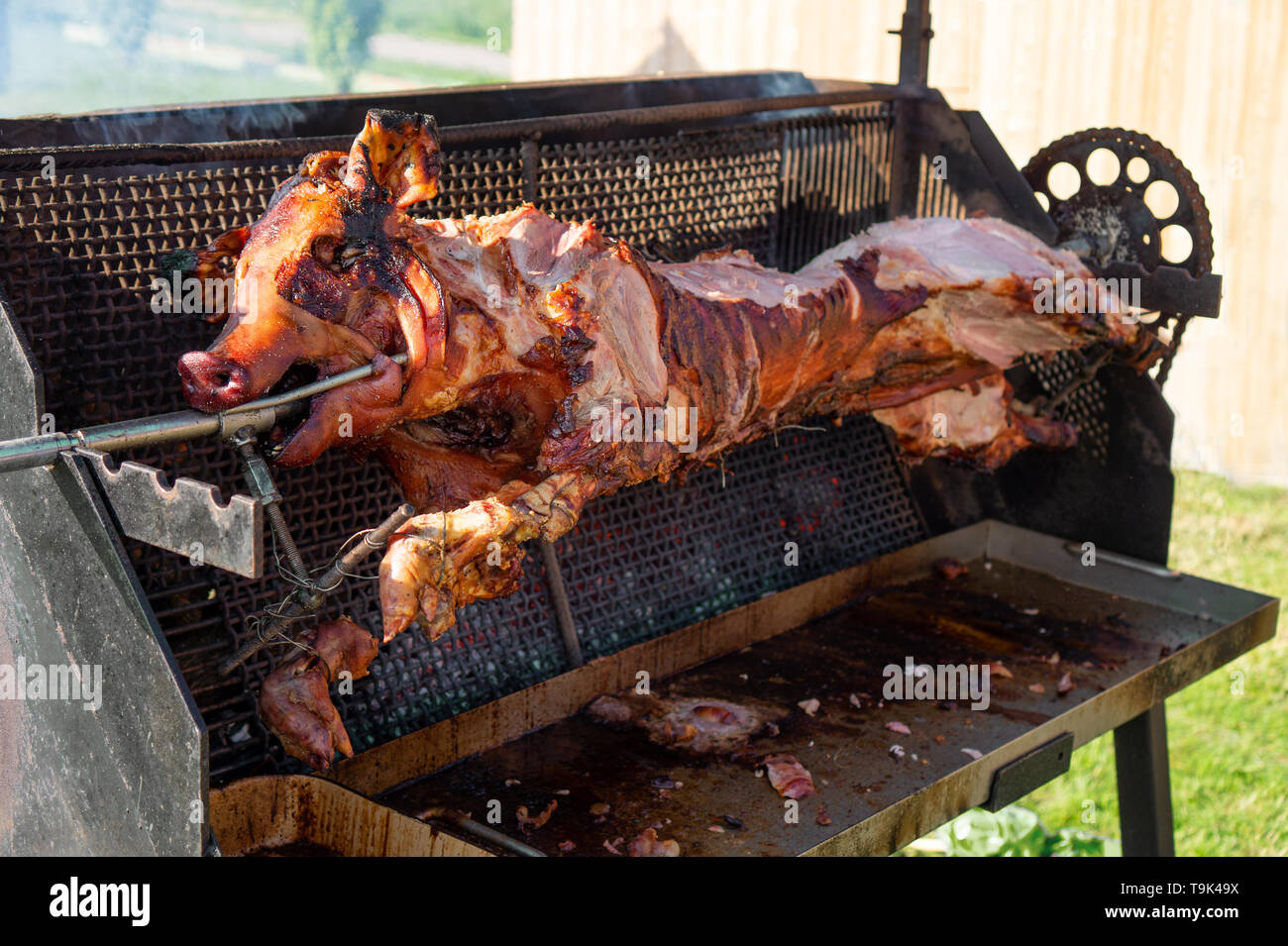 Whole Roasted Pig High Resolution Stock Photography and Images - Alamy