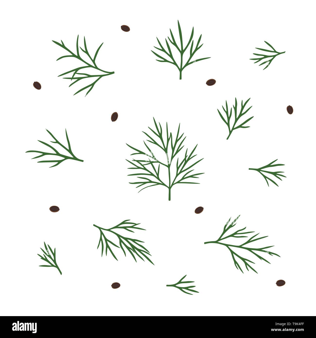 Hand drawn dill isolated. Template for your design works Stock Vector ...