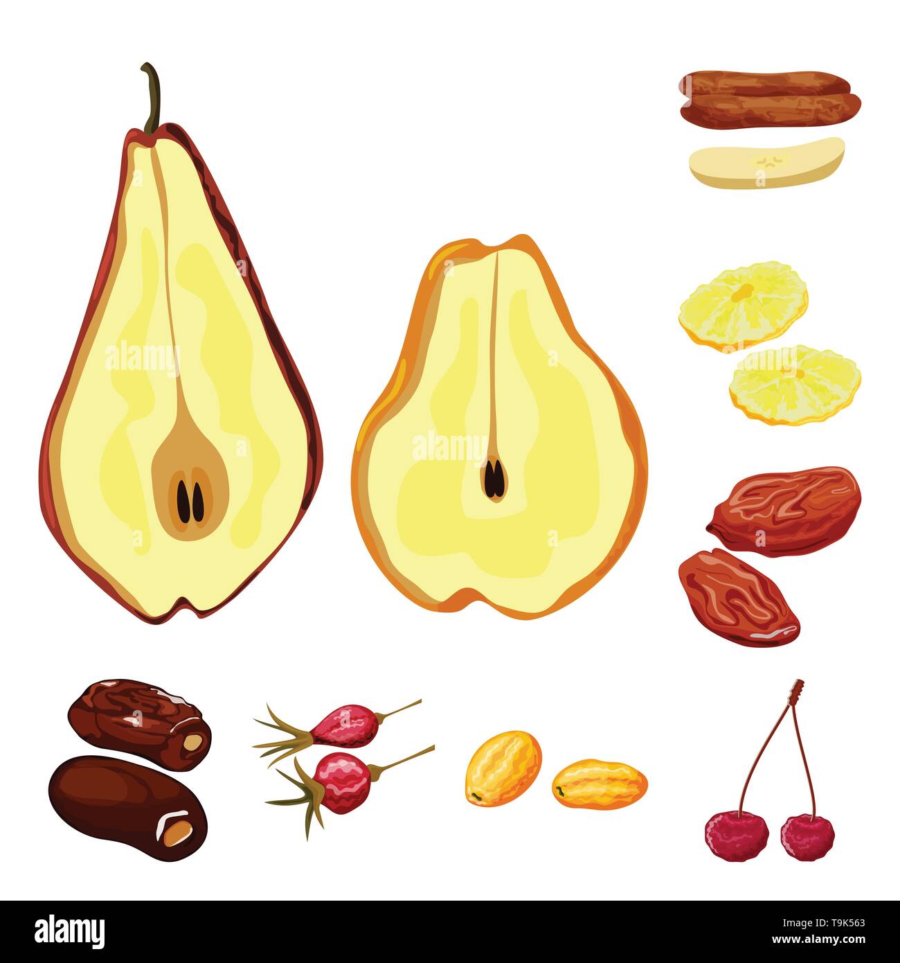 Vector illustration of fruit and dried icon. Set of fruit and food ...