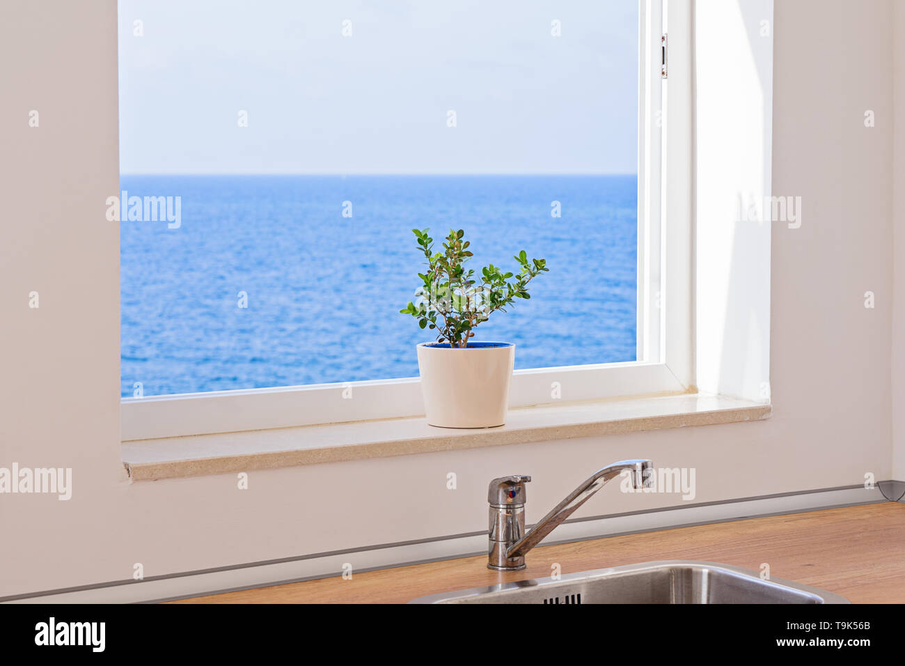 View of seascape through an open window in kitchen with flower in pot ...