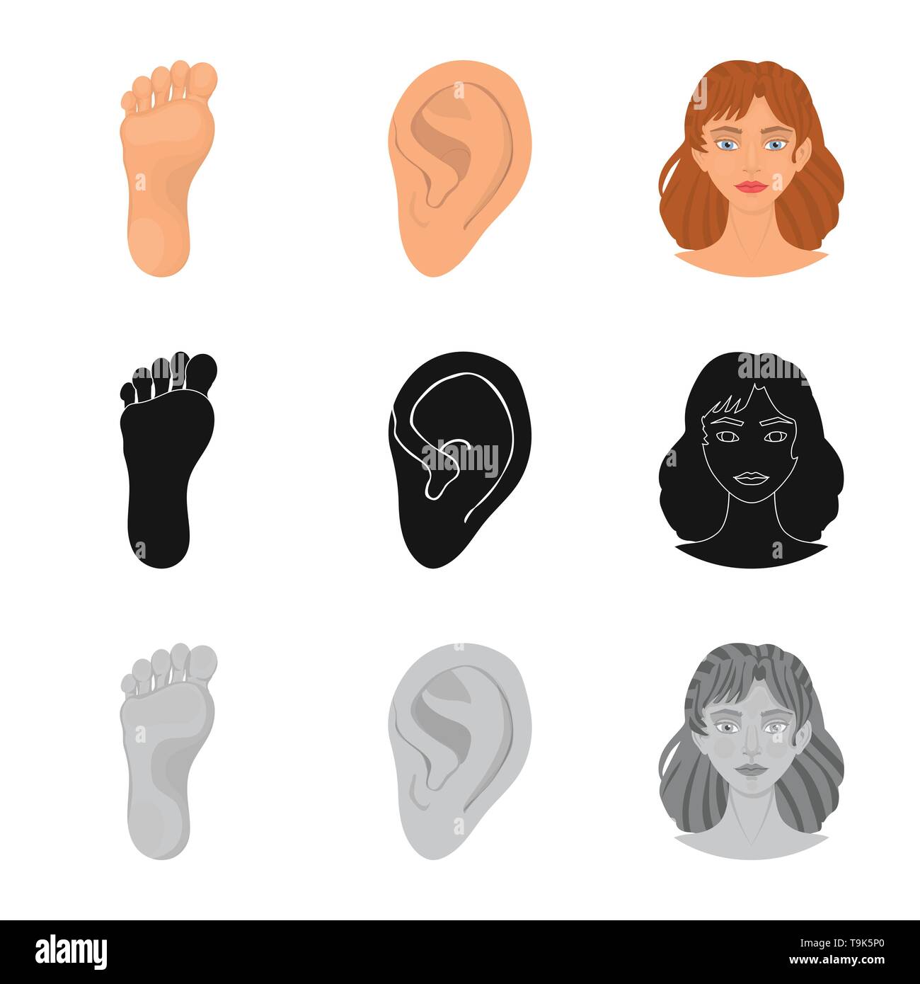 Isolated object of body and part sign. Collection of body and anatomy ...