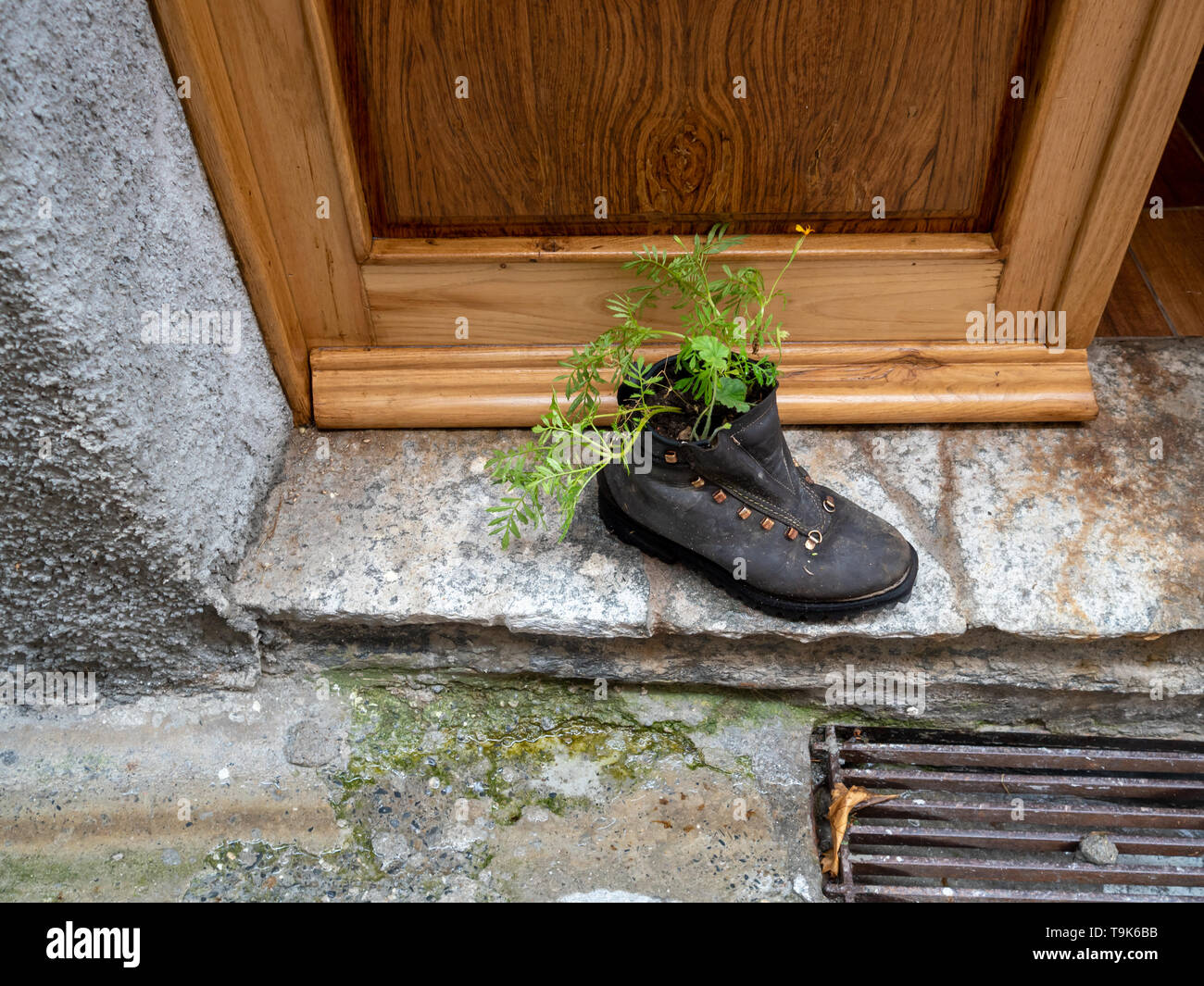 Pot shoe hi-res stock photography and images - Alamy