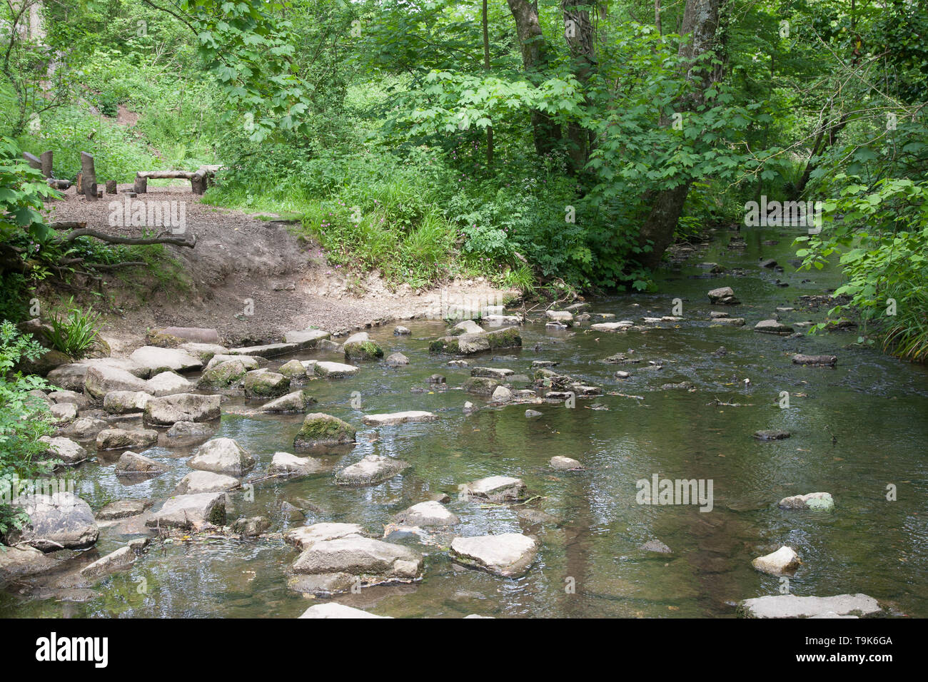 Corfe Castle stream Stock Photo - Alamy