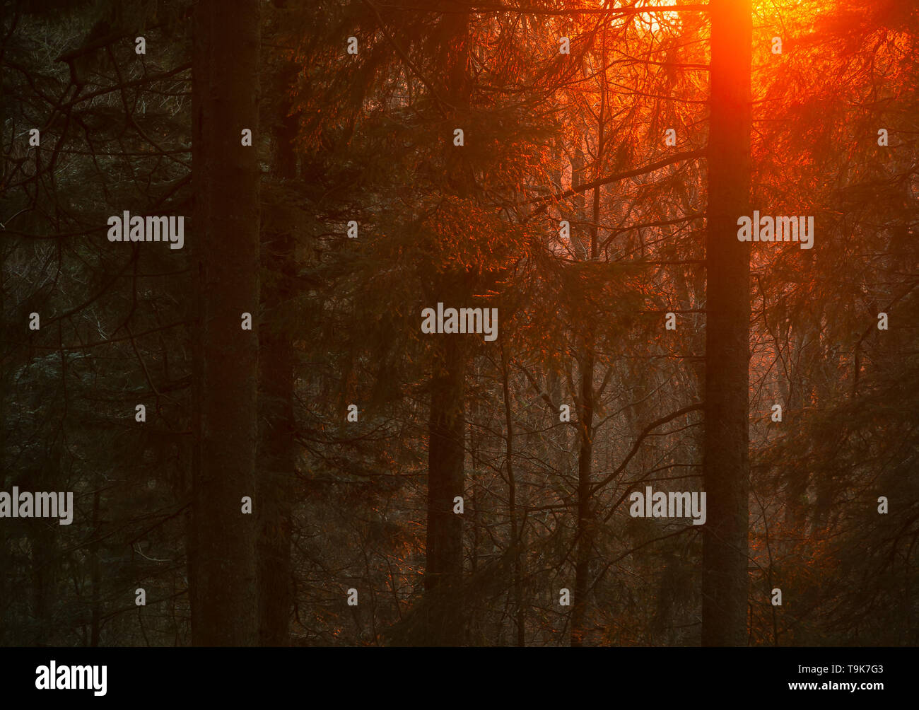 Beautiful sunset scenery hi-res stock photography and images - Alamy