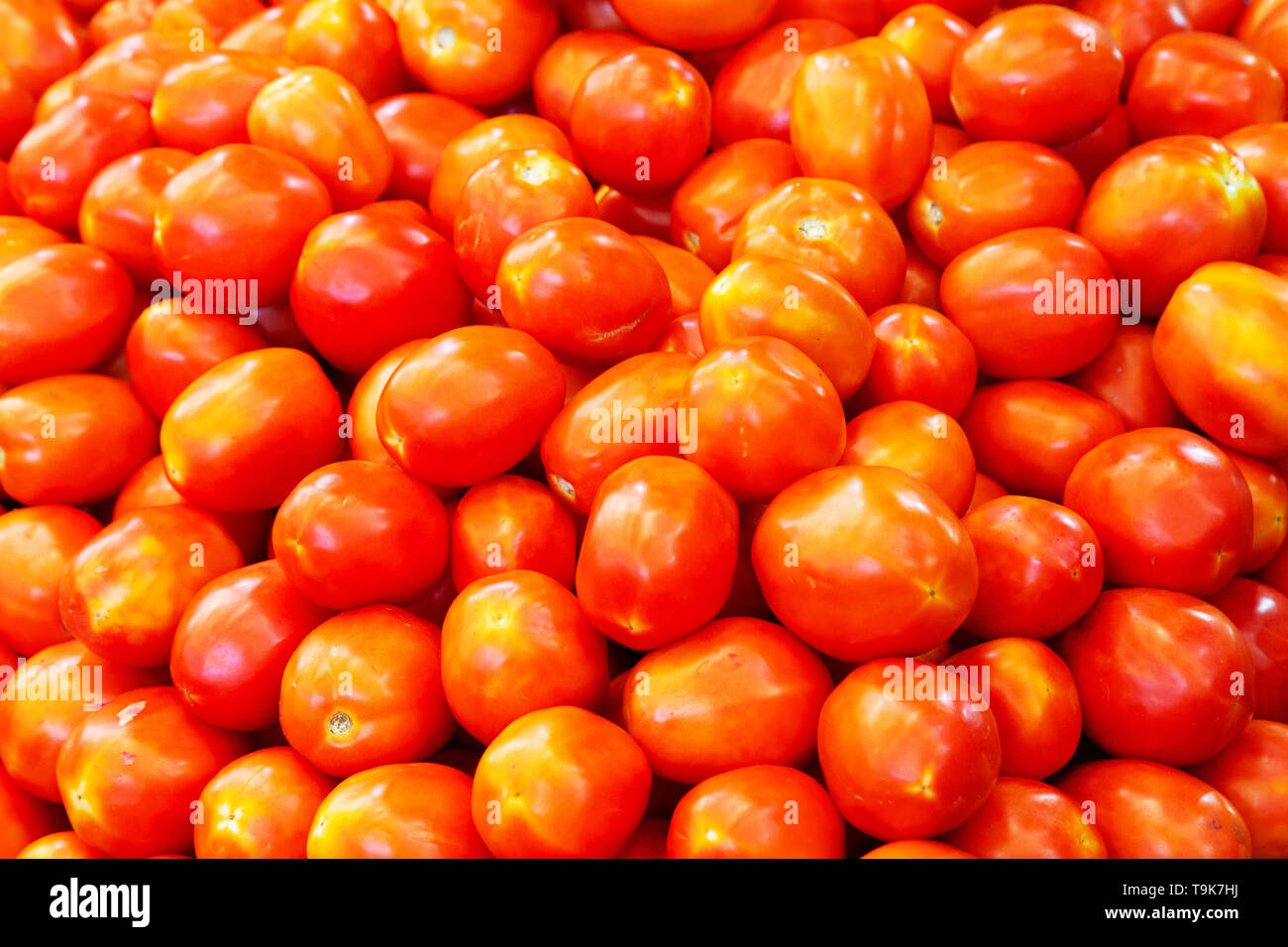 Tomatoes on sale in a mexican food market, Merida Mexico Latin America ...