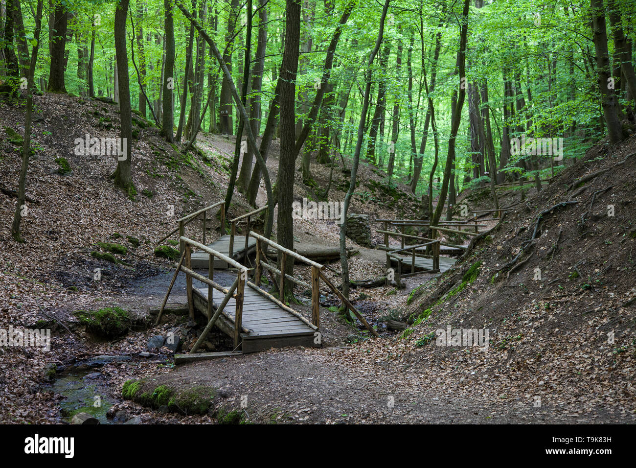 Wooden bridges over water hi-res stock photography and images - Alamy