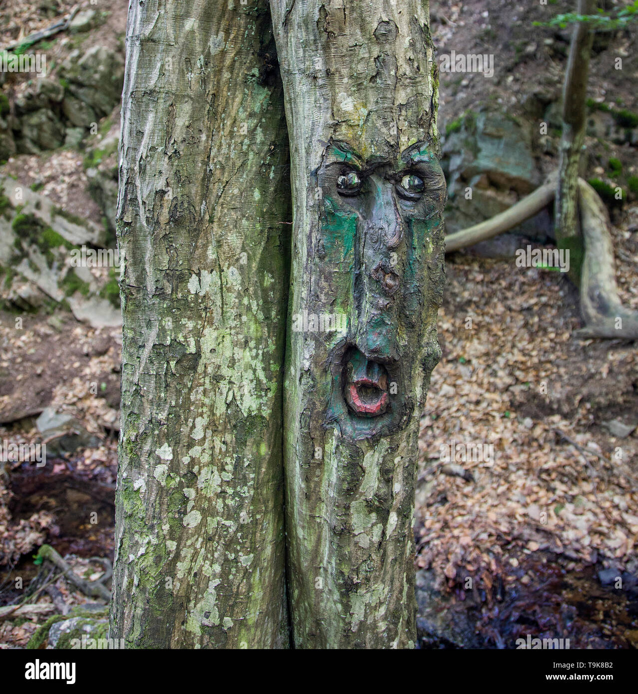 Wood face carving on a tree hi-res stock photography and images - Alamy