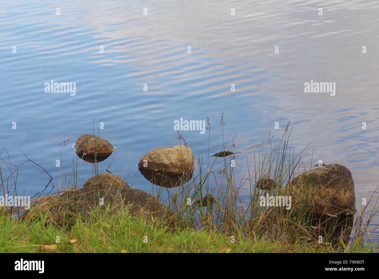 Scottish loch muir hi-res stock photography and images - Alamy