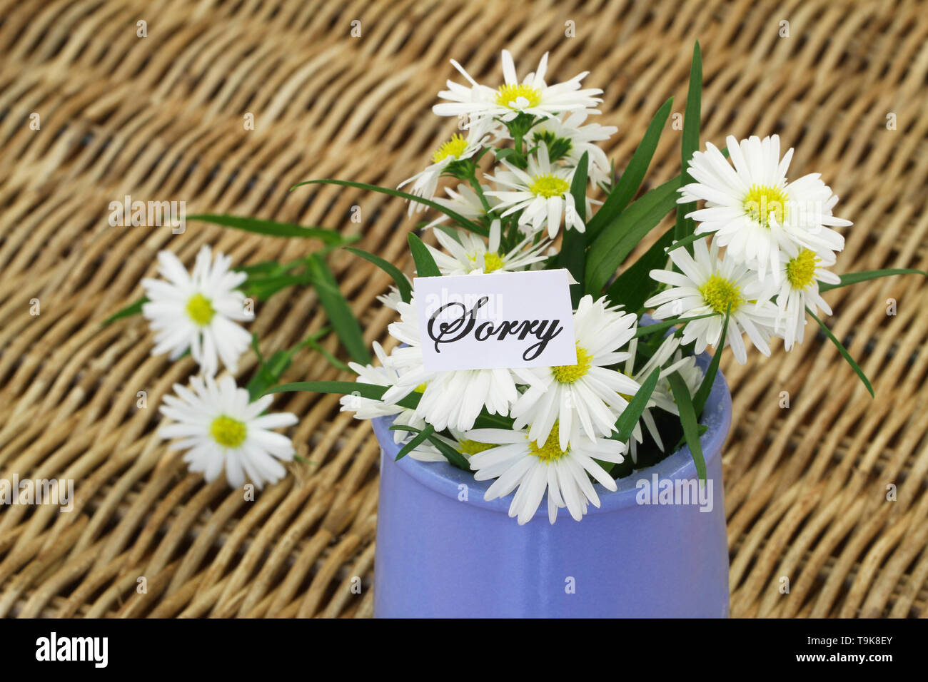 Apology note flowers hi-res stock photography and images - Alamy