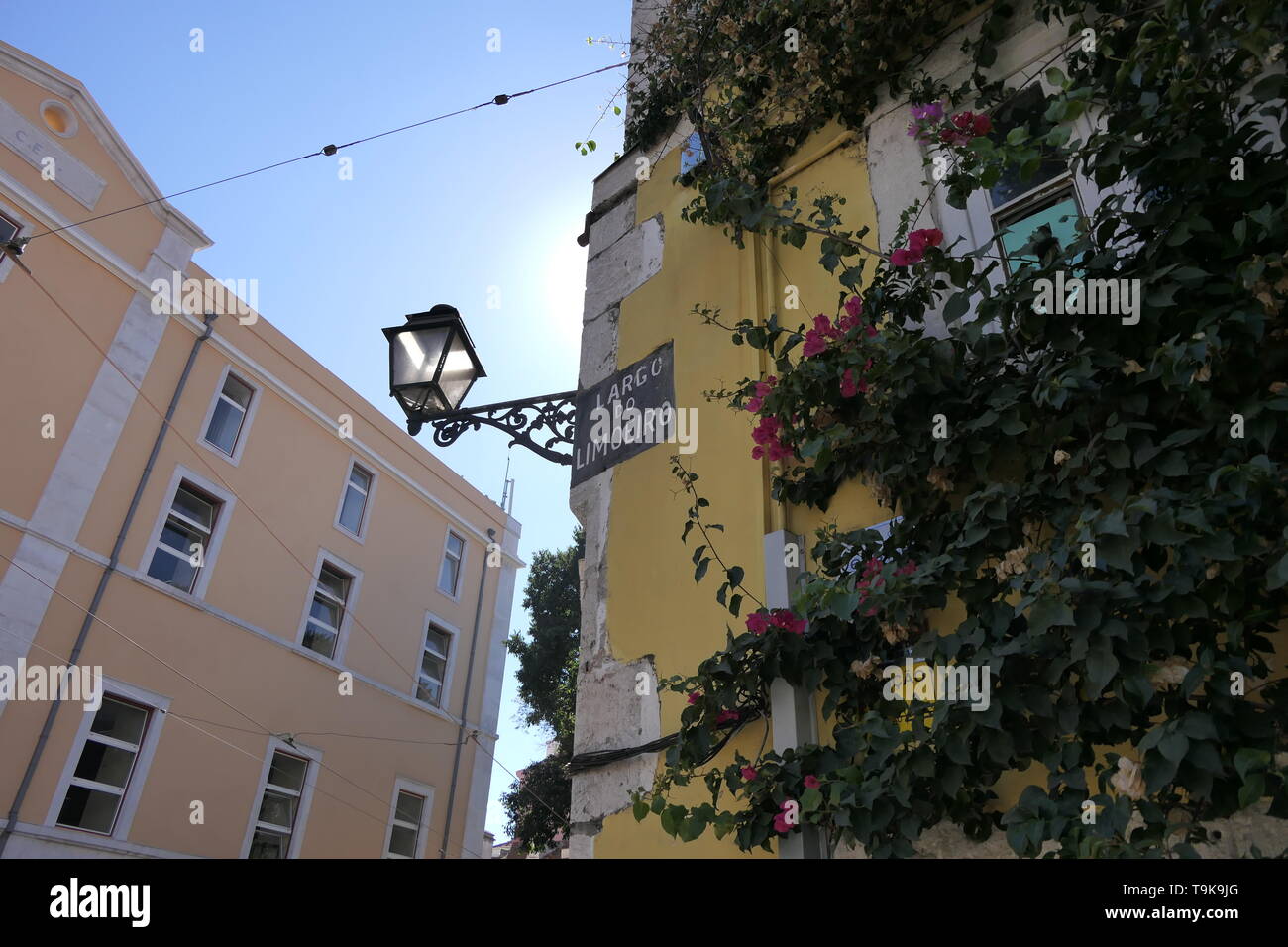 Limoeiro street hi-res stock photography and images - Alamy