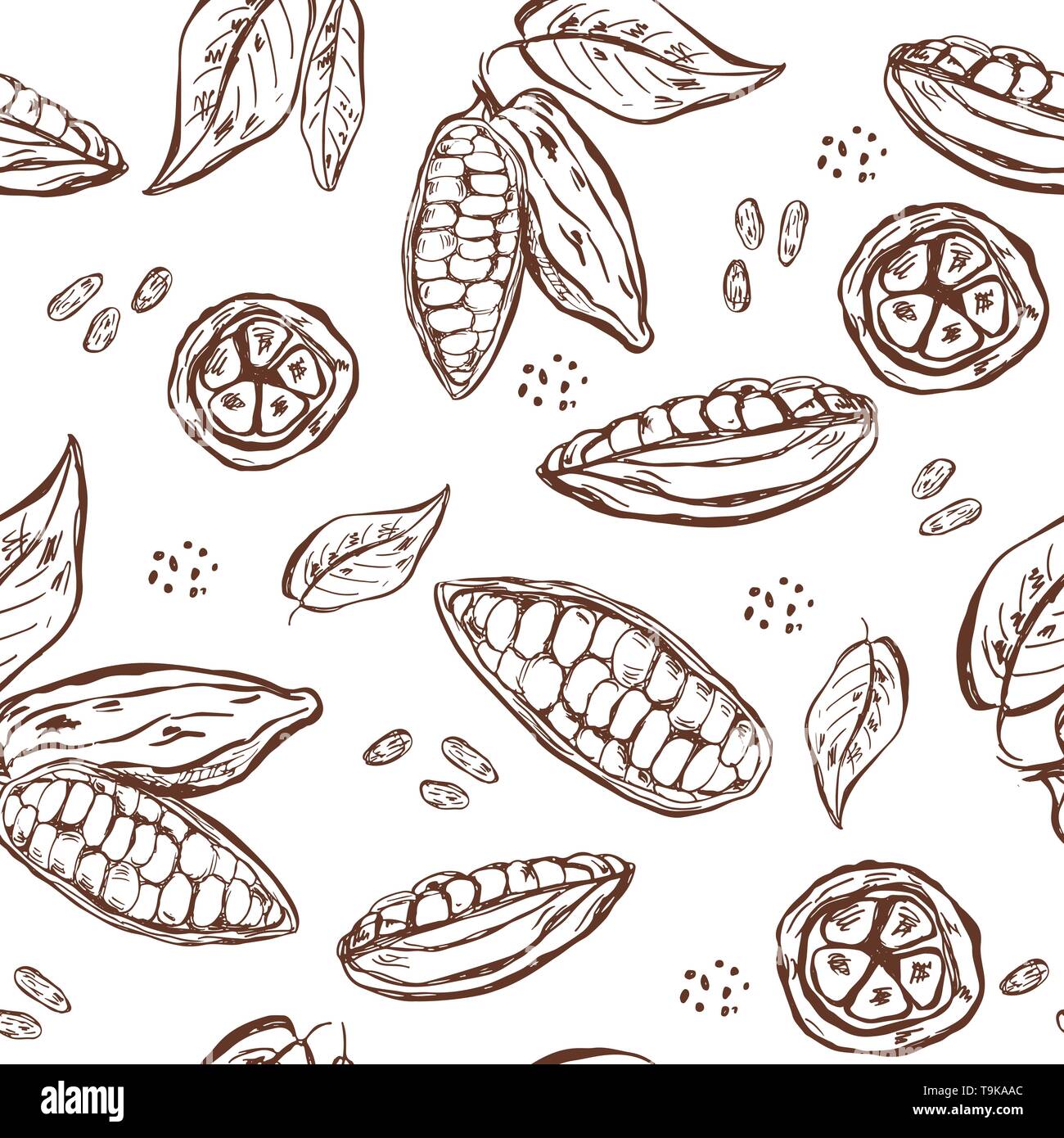 Cocoa beans vector illustration Stock Vector Images - Alamy