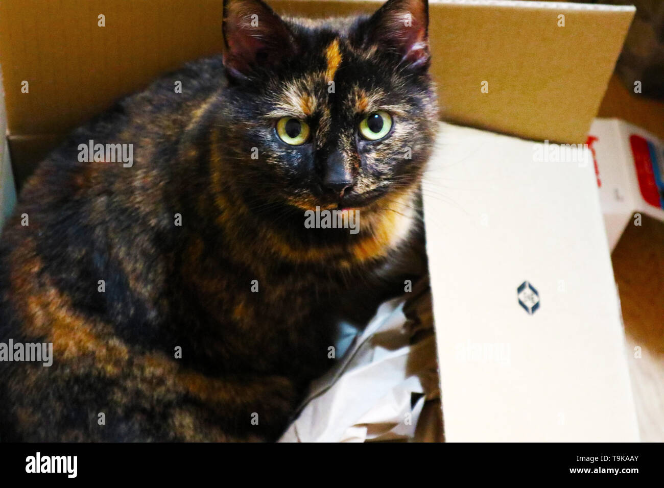 Wallpaper desktop hd hi-res stock photography and images - Alamy