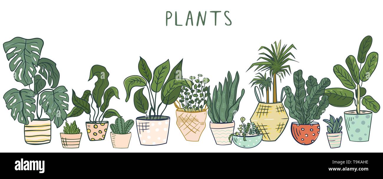 Green home house plants Cut Out Stock Images & Pictures - Alamy