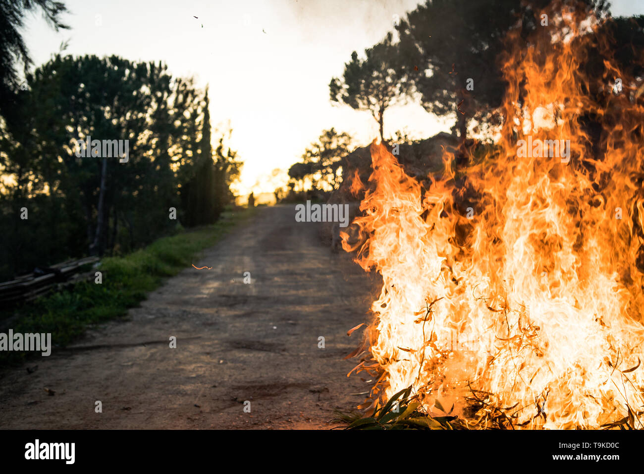 Fires in portugal hi-res stock photography and images - Alamy