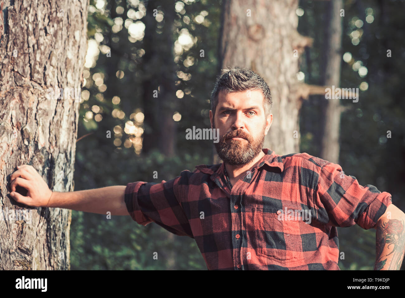 Concentrated man with beard and mustache hiking in woods. Lone traveler ...