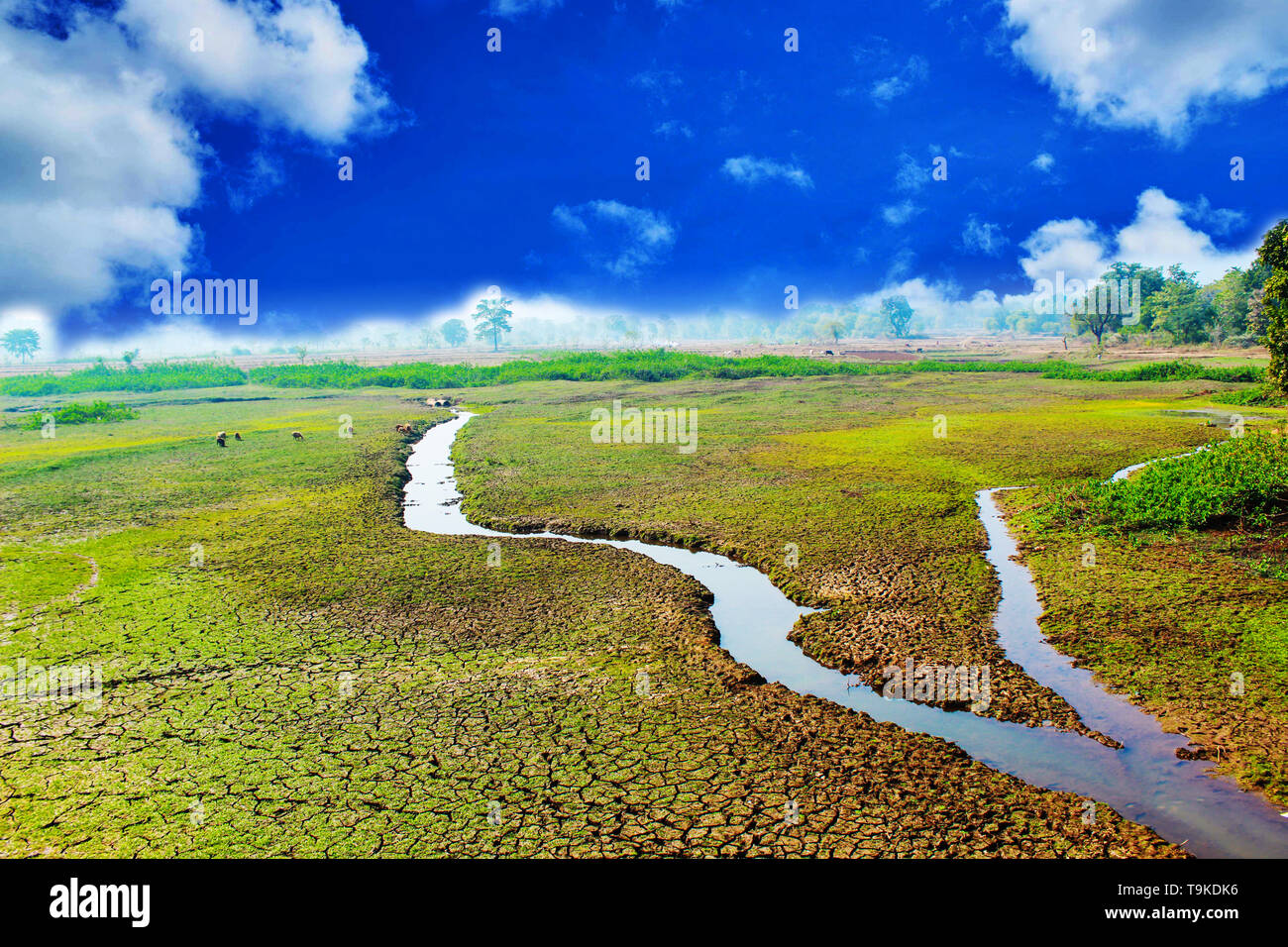 Agriculture land with water drain Stock Photo - Alamy